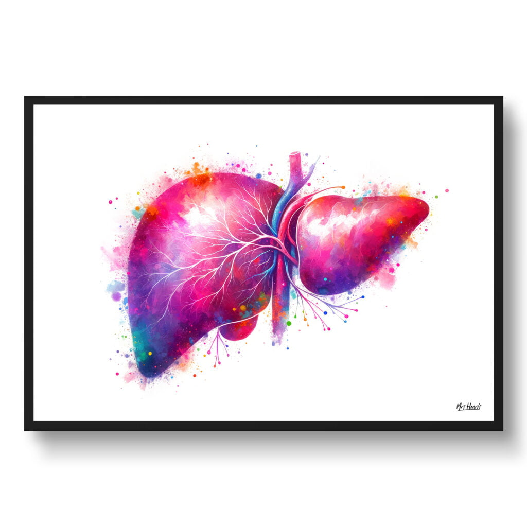 Liver Wall Art Print Watercolour Nephrology Surgery Medical Doctor ...