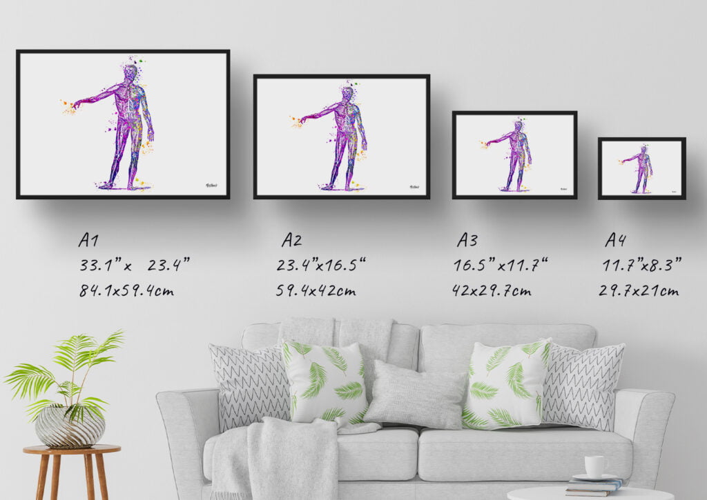 Body Anatomy Wall Art Print Watercolour Human Muscular System Anatomy ...