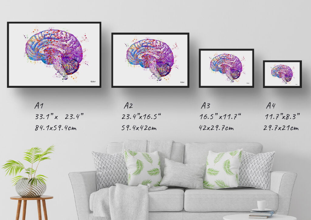 Brain (Side View) Anatomy Wall Art Print Watercolour Human Neurology ...