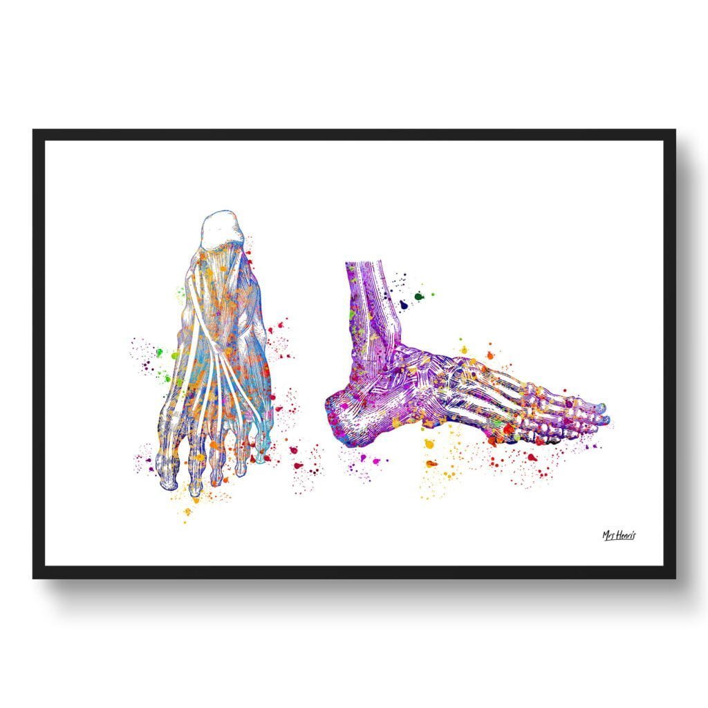 Feet Anatomy Wall Art Print Watercolour Foot Medical Doctor Office ...