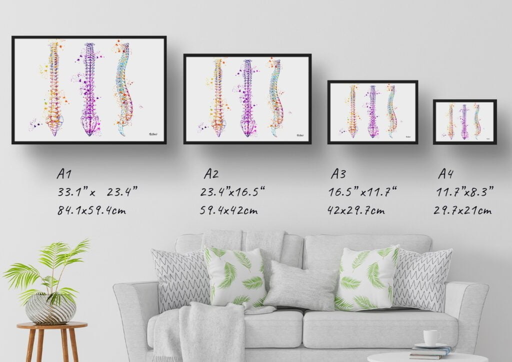 Spine / Vertebrae Anatomy Wall Art Print Watercolour Spinal Column ...