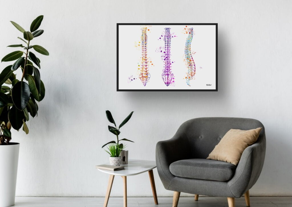 Spine / Vertebrae Anatomy Wall Art Print Watercolour Spinal Column ...