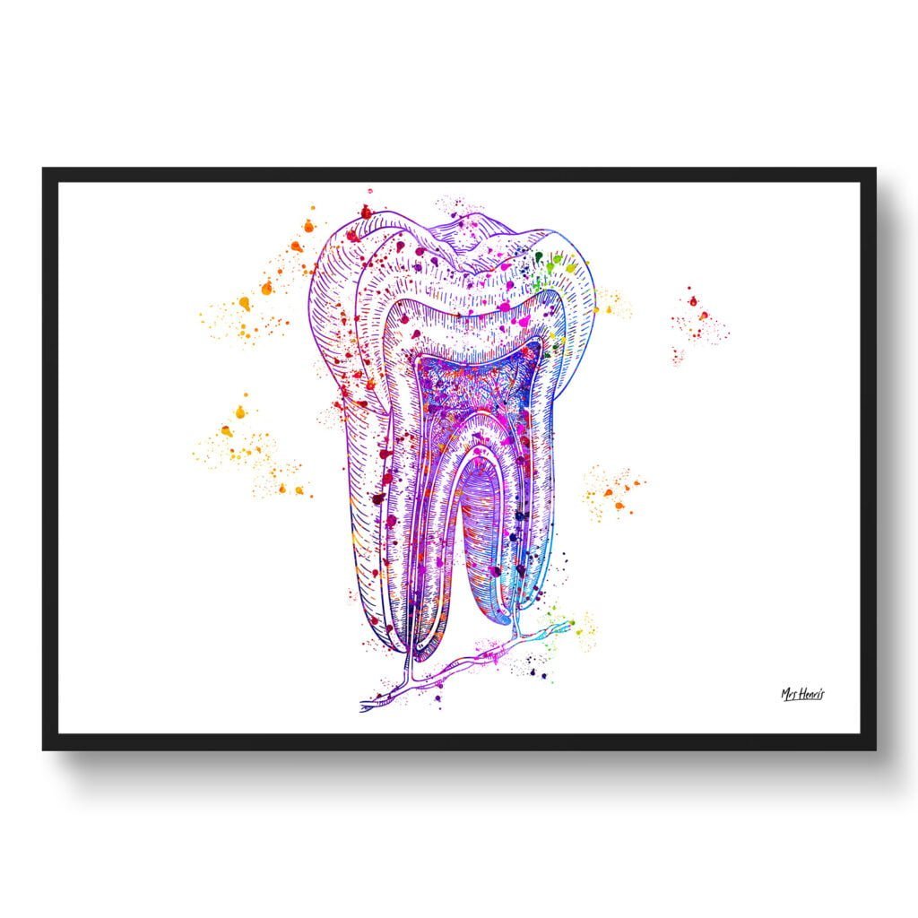 Tooth Structure Wall Art Print Watercolour Tooth Cross Section Anatomy ...