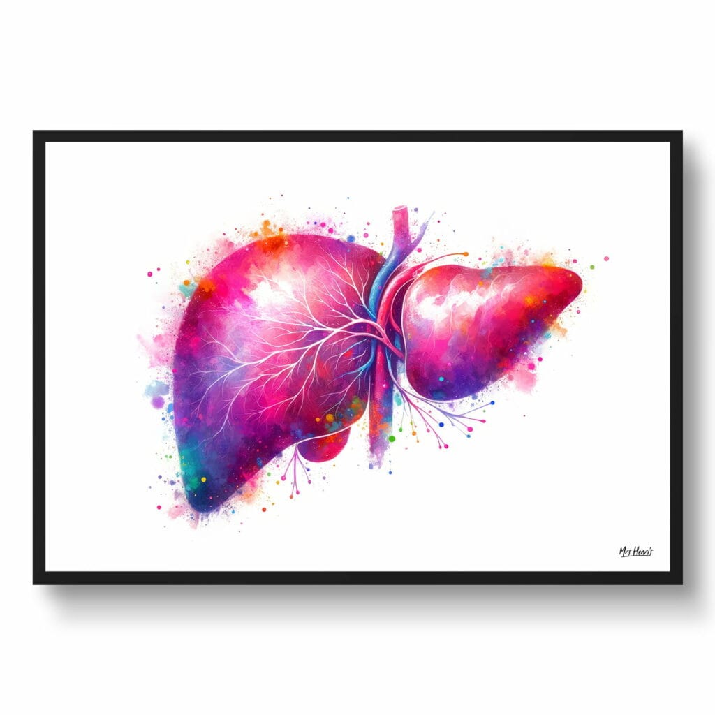 Liver Wall Art Print Watercolour Nephrology Surgery Medical Doctor ...