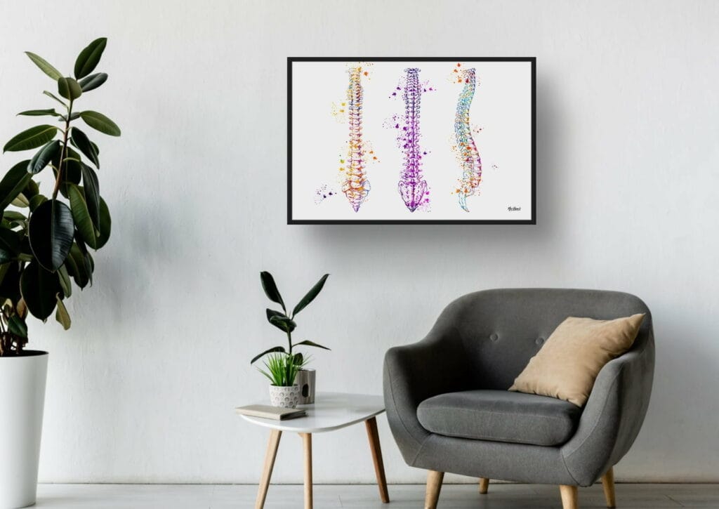 Spine / Vertebrae Anatomy Wall Art Print Watercolour Spinal Column ...